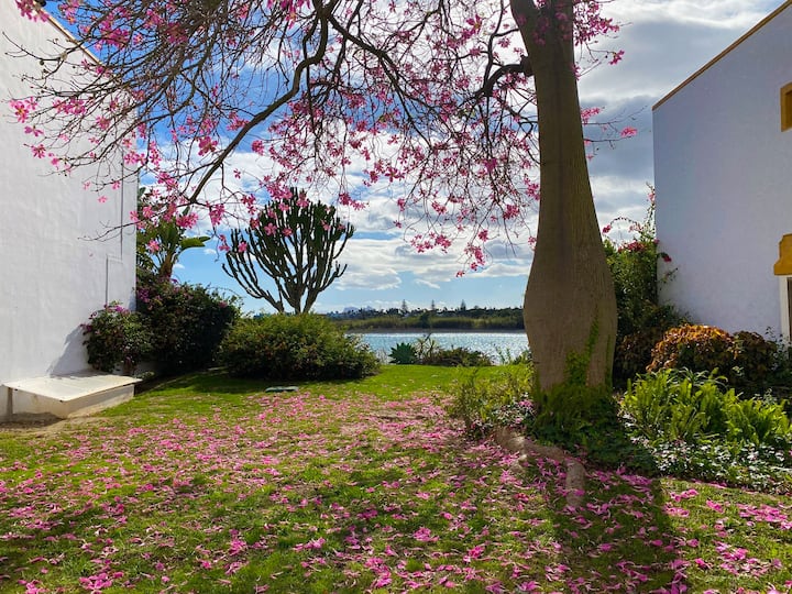 Apartamento En Sotogrande Playa, Recién Reformado. - Sotogrande