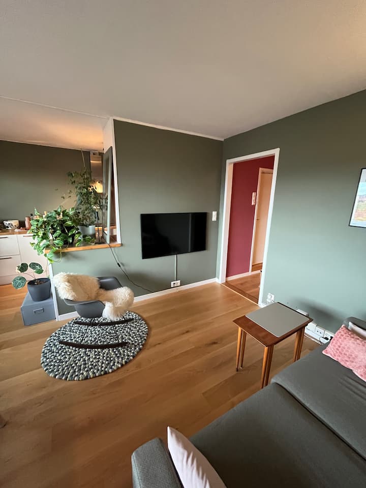 Koselig Leilighet Rosenhoff - Oslo