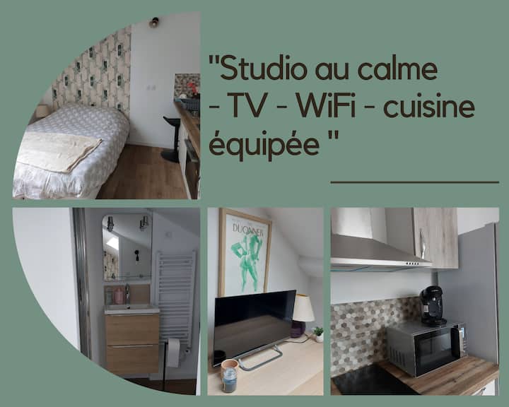 Sous Les Toits - Wi-fi - Tv - Dijon