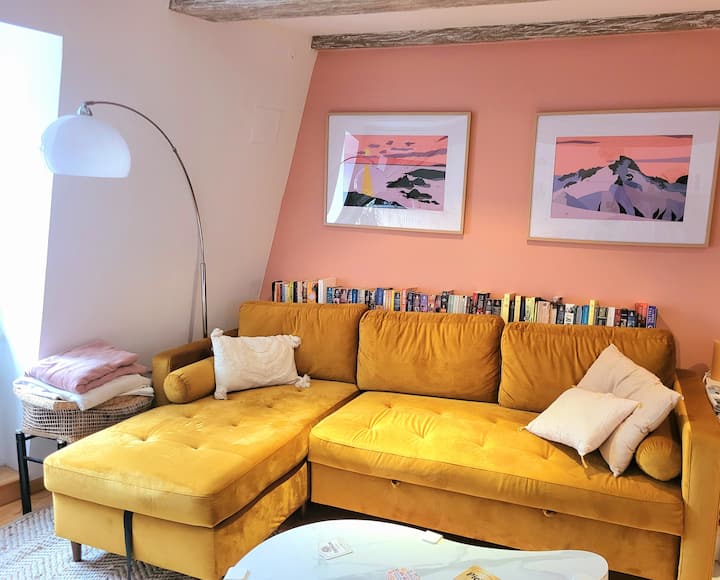 Luminous And Charming Duplex In Center Colmar - Kaysersberg