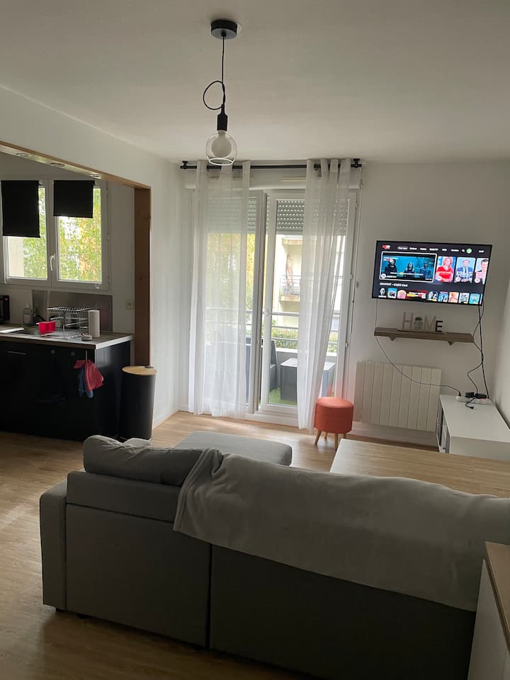 Appartement Cosy Et Chaleureux - 土爾