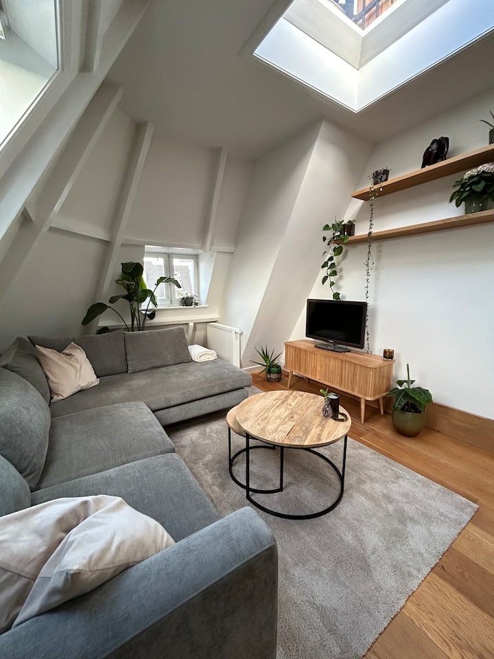 Romantic Loft | Rooftop Terrace | Vondelpark - Amsterdam