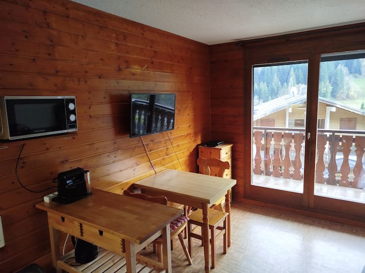 Cosy T2 Face Aux Pistes De Ski - Châtel