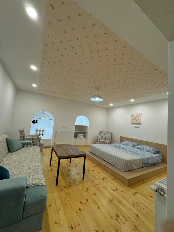 Tbilisi Centeral Apartment - Tbilisi