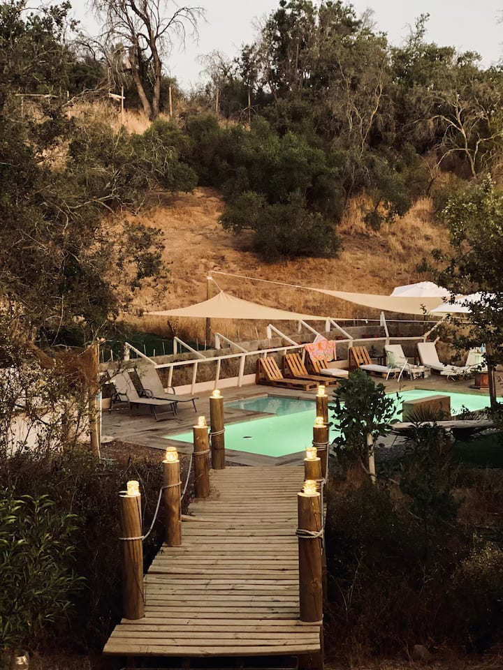 Cabaña Sustentable En El Bosque - Curacavi