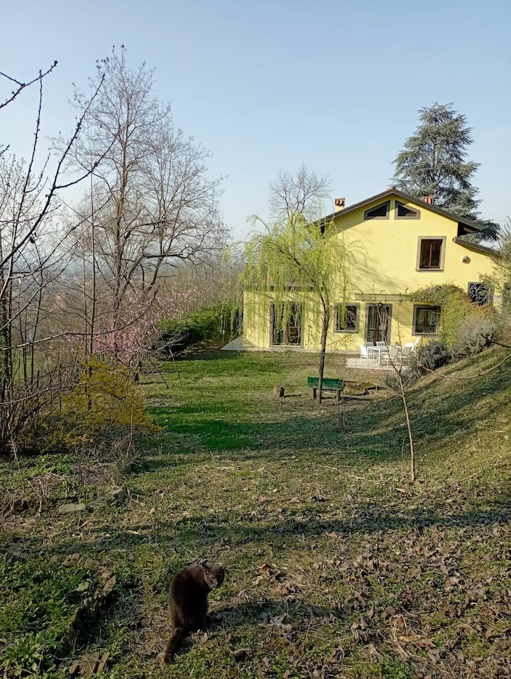 Il Trucchetto - Chivasso