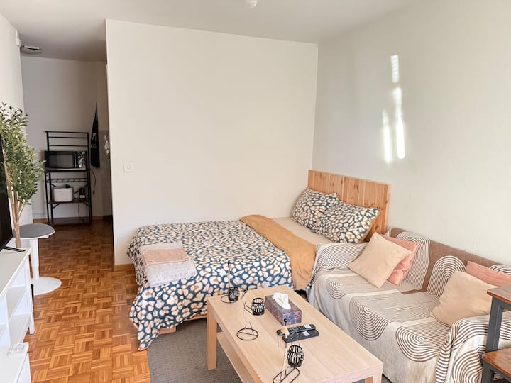 Studio Cosy Centré à Lausanne - Renens