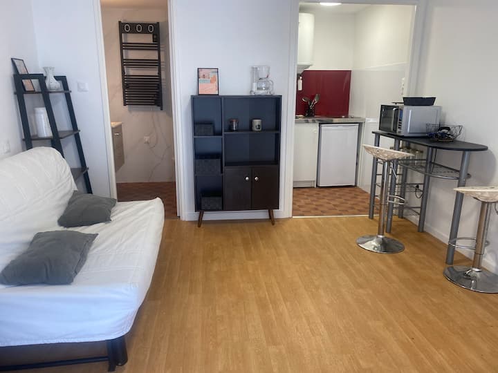 Studio Hypercentre Toulouse - Toulouse