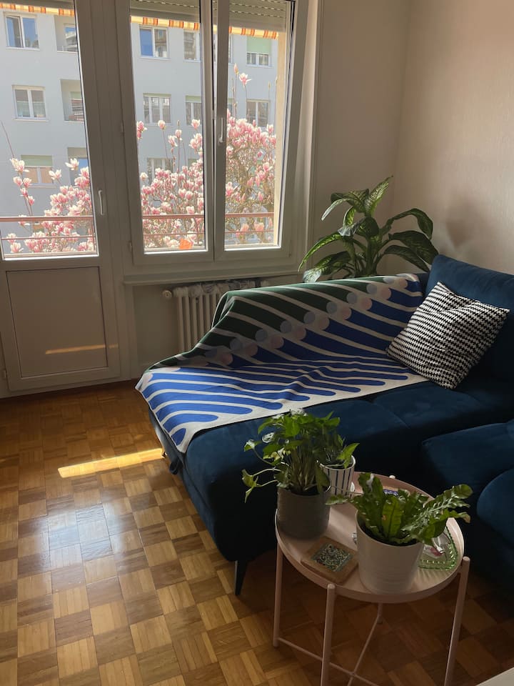 Appartement à Lausanne - Lausanne