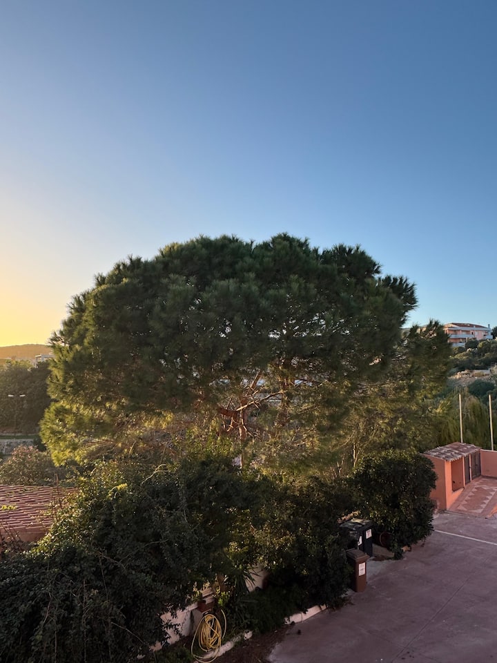 Vivi La Maddalena Apartment-m1 - La Maddalena