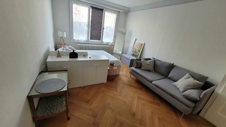 Appartement à 3 Min. De La Gare - 로잔