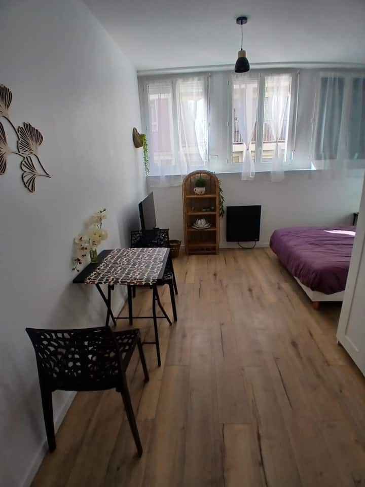 Confortable Studio 2 Personnes - Dijon