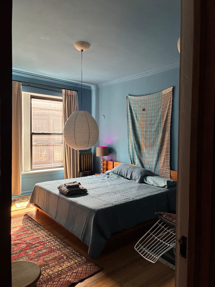 Cozy Art-filled Hyde Park Apt - Pill Hill - Chicago