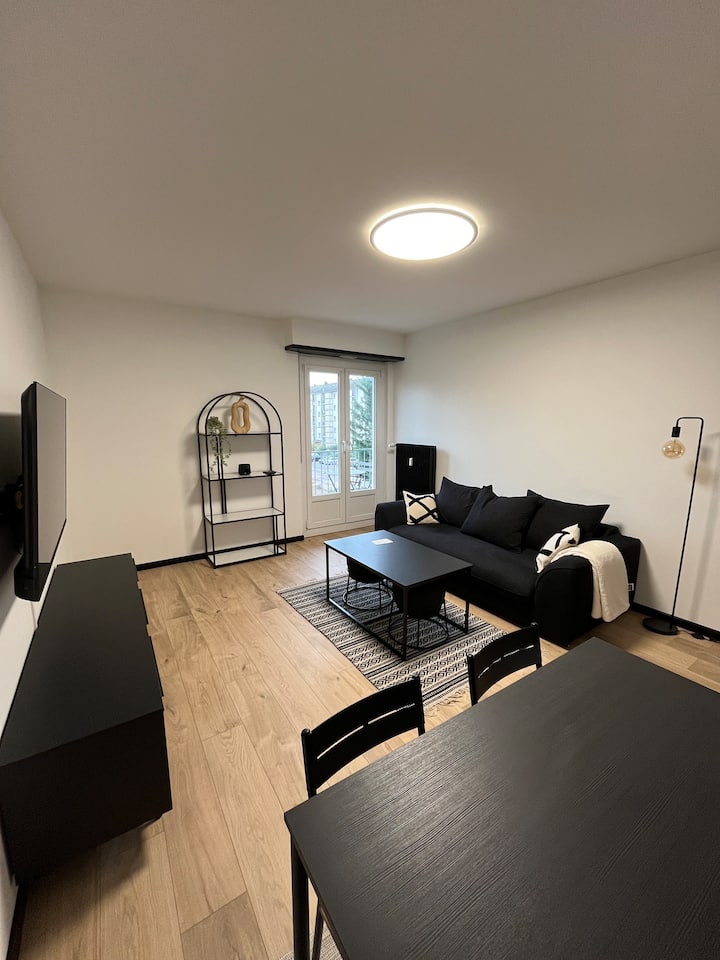 Appartement Mulhouse Avec Wifi Et Place De Parking - Mulhouse