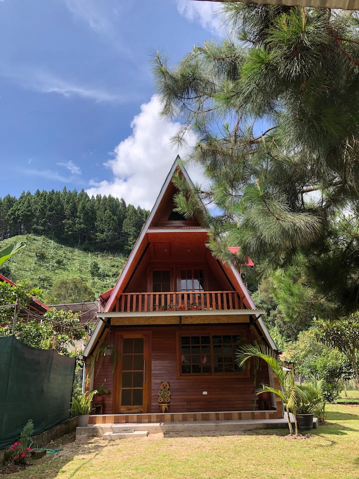 Pamela Lodge - Oxapampa