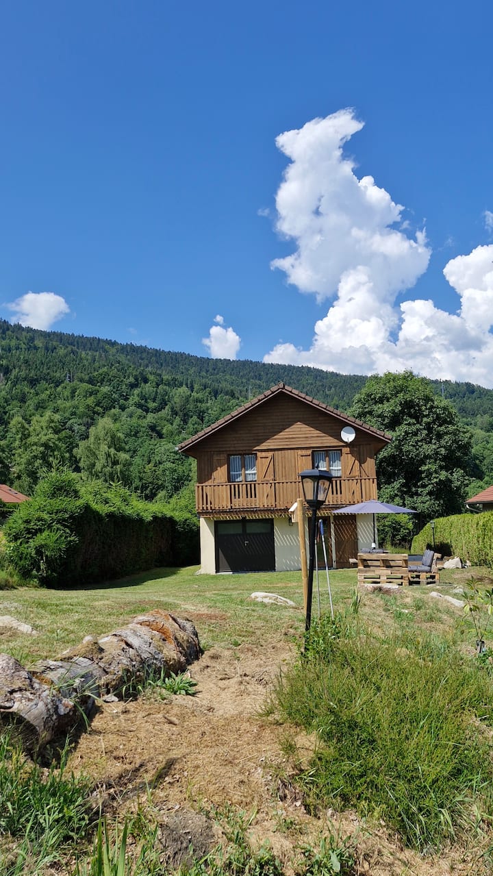 Chalet Le Sapin - Sauna/bar - 15min De La Bresse - Bussang