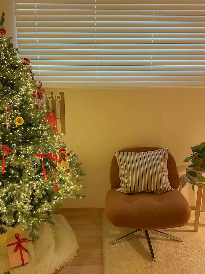 행궁꿈자리_솔 #행리단길10초컷 #크리스마스트리 #폴라로이드_대여 #빔프로젝터 - Suwon-si