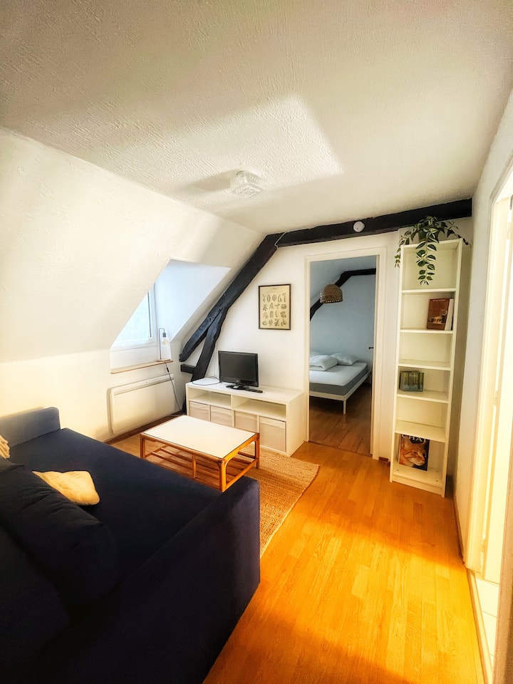 T2 Cosy & Lumineux Au Cœur De Pau – Tout à Pied ! - Pau