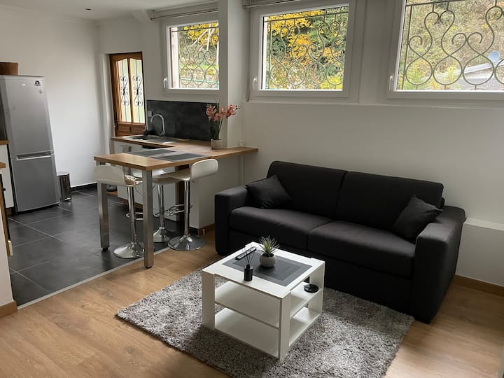 Le Robinson - Appartement Sévrier - Sévrier