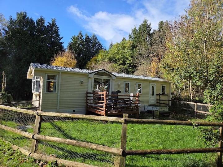 Peacock Lodge In Macaroni Woods, Cotswolds - Gloucestershire