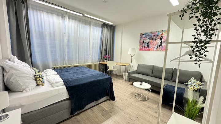 Street View Apartment - 2sz - 1wc - 1du - 1kü - Karlsruhe