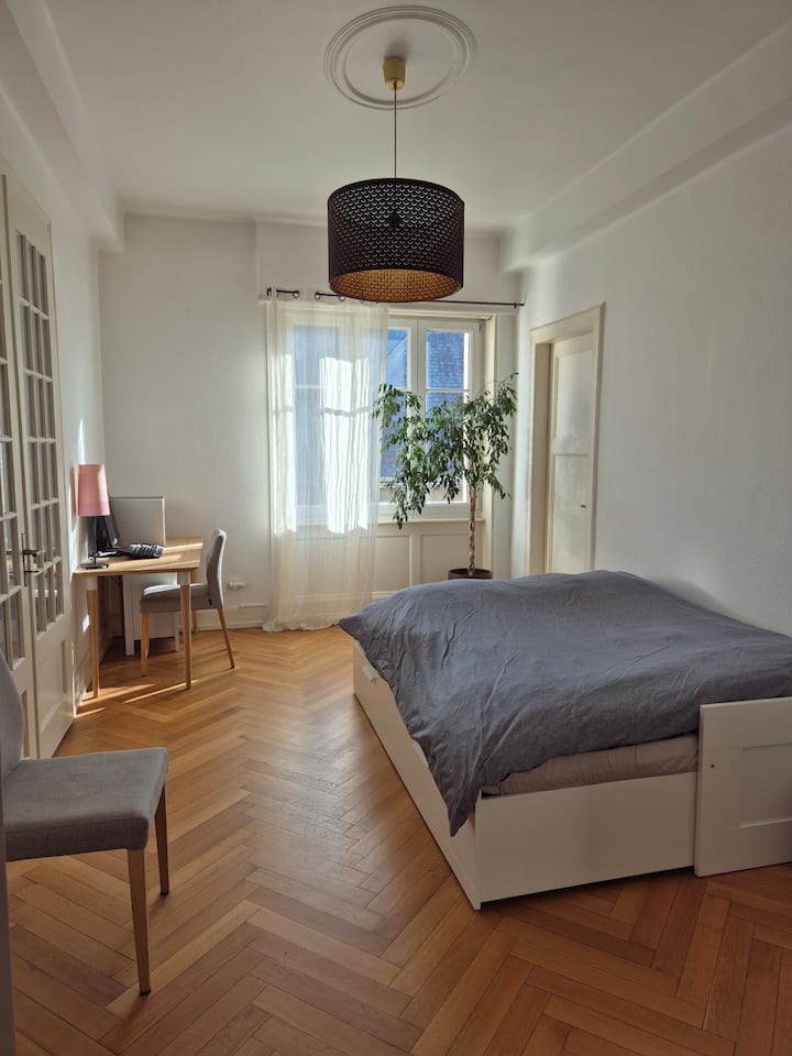 Grande Chambre Confortable - Strazburg