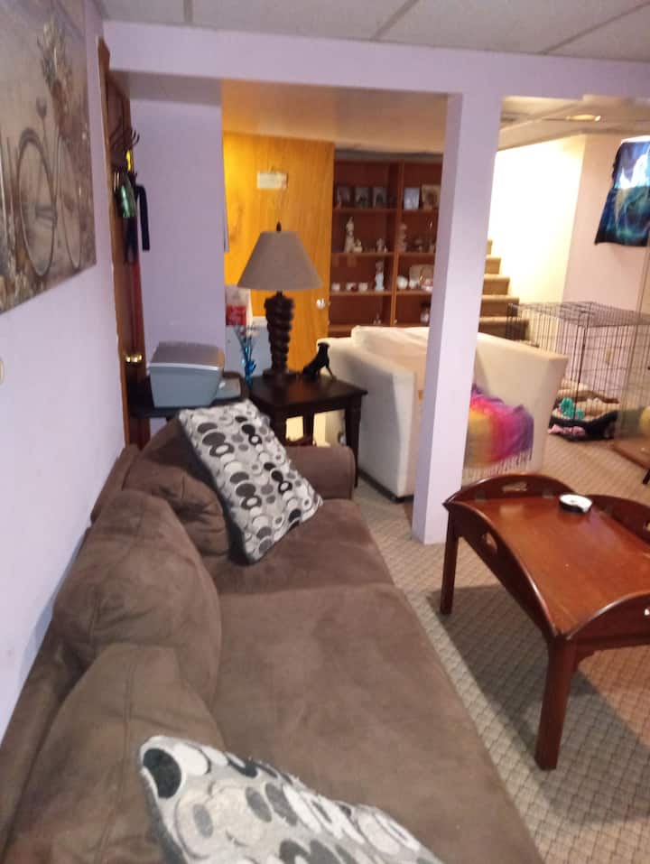Private Basement Guest Suite - Edison, NJ
