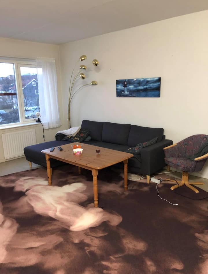 Tromsø Island Apartment , Near Tromsø University - Tromsø