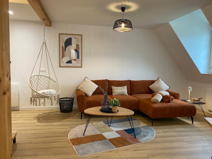Nouveau* Duplex  - Hypercentre - Calme - Cocooning - Hagenau
