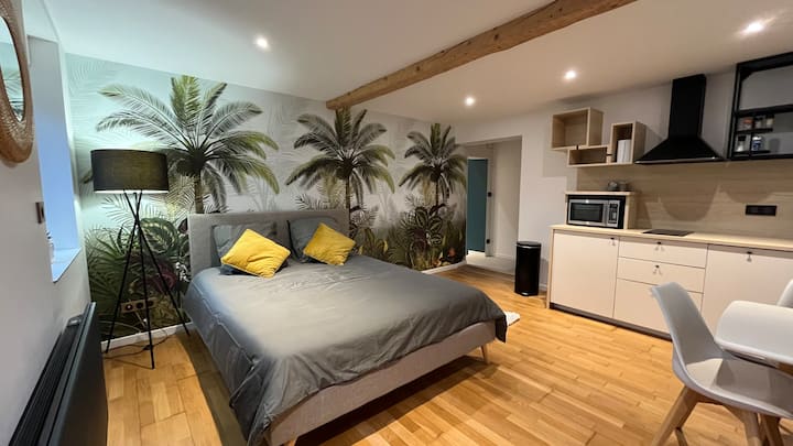 Cosi Studio Tout éQuipé, Proche Strasbourg - Bischwiller