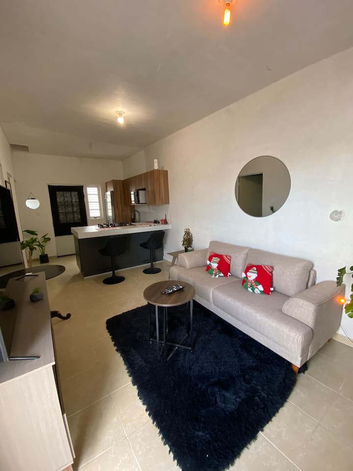 Casa Cómoda En Fraccionamiento - Torreón
