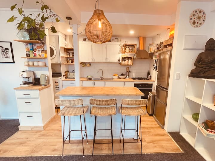 The Lazy Surfer - New Plymouth