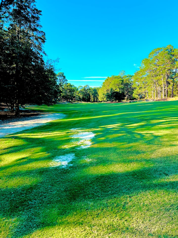 Thepalmergolf*chef'skitchen*fireplace*hottub*pool - Southern Pines