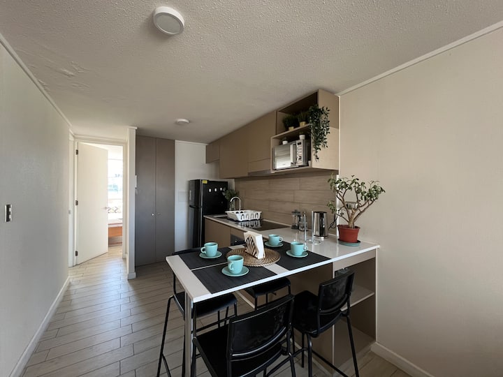 Moderno, Lindo, Cómodo Y Central - Santiago