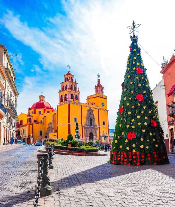 Casa Alameda. - Guanajuato
