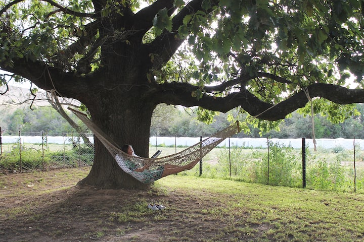 Lismore Guest Farm, Swellendam - Barrydale