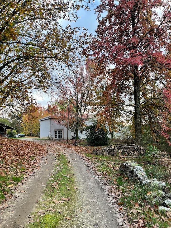 En Pleine Nature - Belin-Béliet
