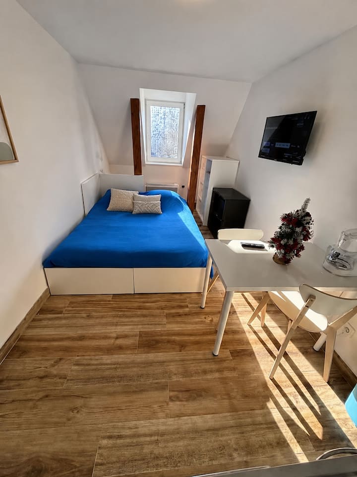 Studio Lumineux  Tram Direct Centre Strasbourg - Strasbourg