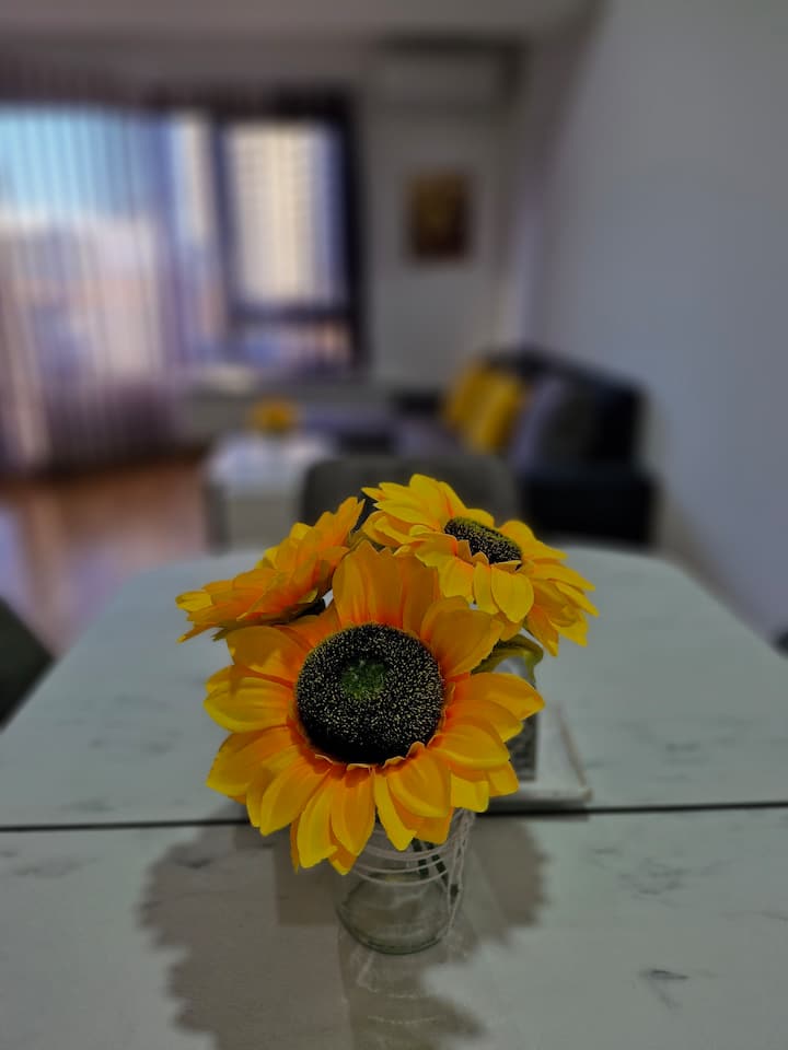 Sunflower City Center With Free Garage - Skopje