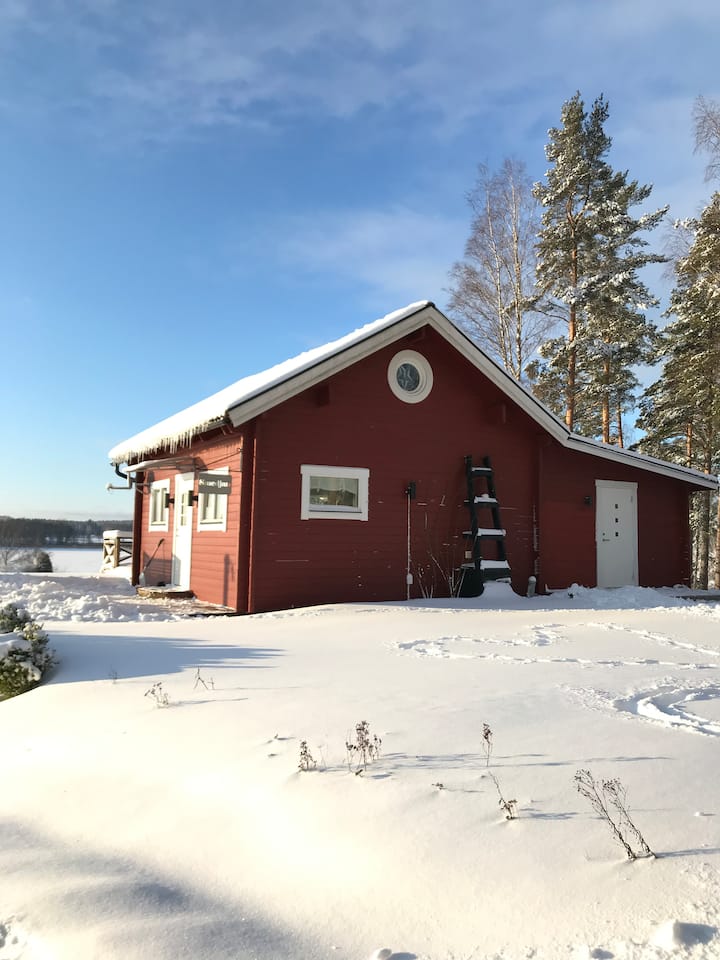 Lantlig Idyll, Utsikt öVer Sjö, Skog & Hästhagar - Sweden