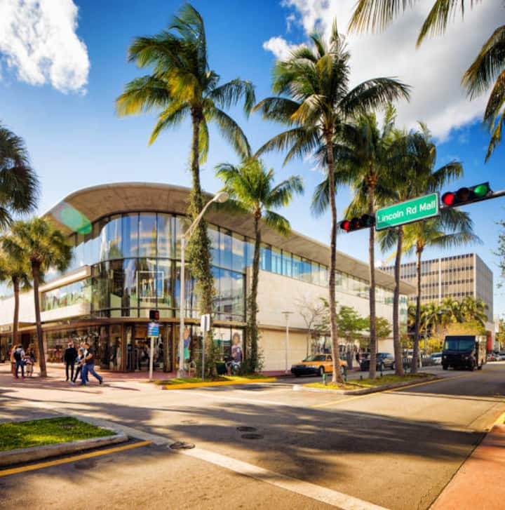 Fully Renovated-6 Near Brickell: Modern/central - South Miami, FL