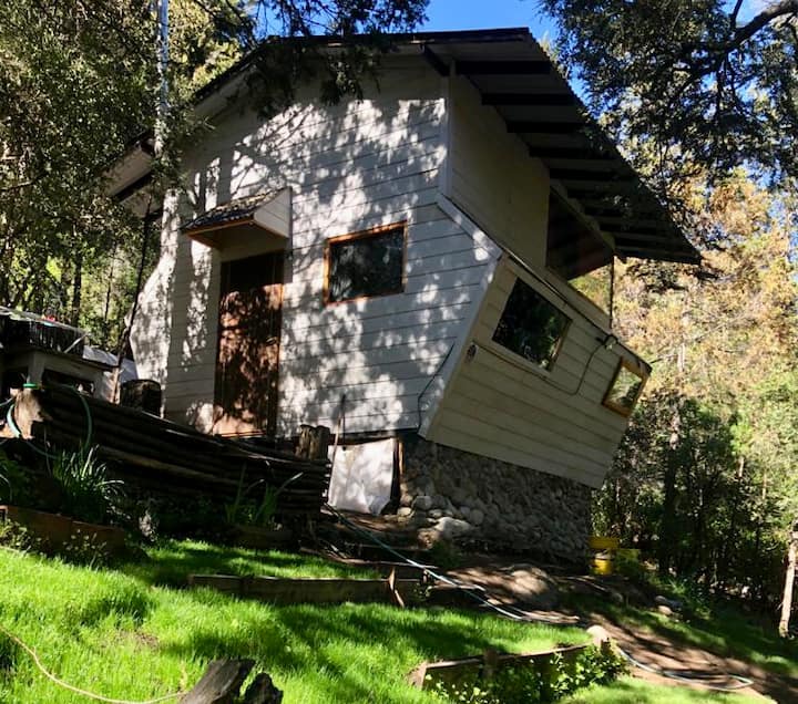 Cabaña Huillín;  Experiencia úNica Del Bosque - San Carlos de Bariloche