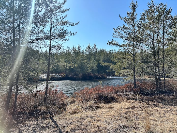 Campus Marcus - Manistee, MI