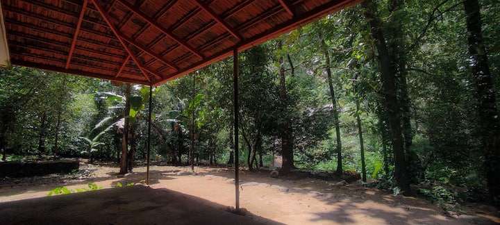 Pangea - Vagamon