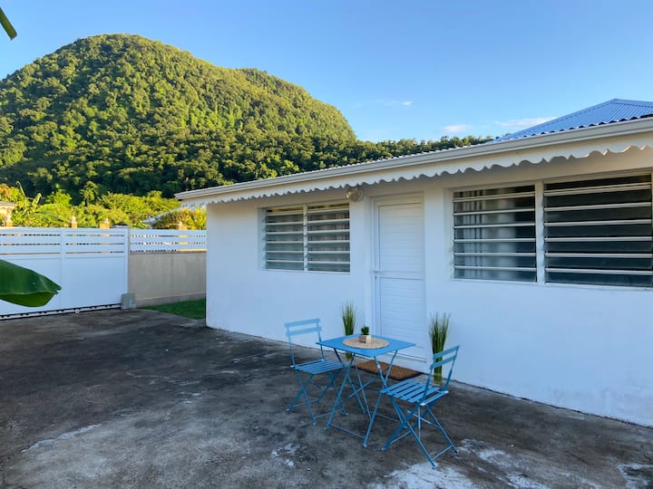 Maison Moderne, Nature Tropicale - Guadeloupe