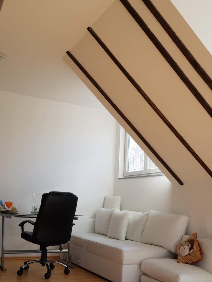 Penthouse
5 Meter High Ceilin - Troisdorf