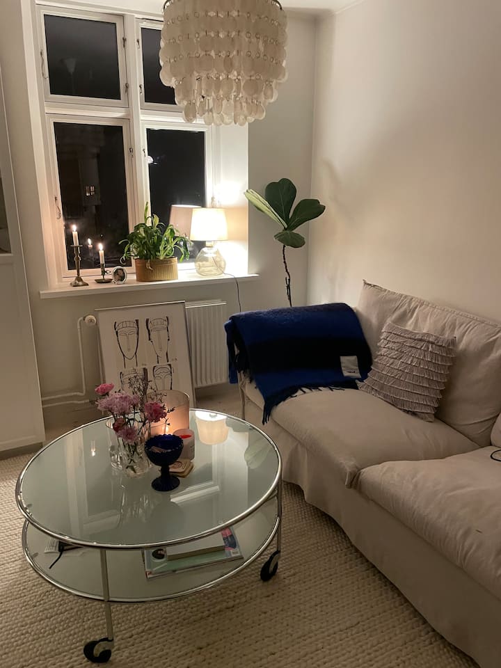 Cozy Apartment In Amagerbro - Copenhagen