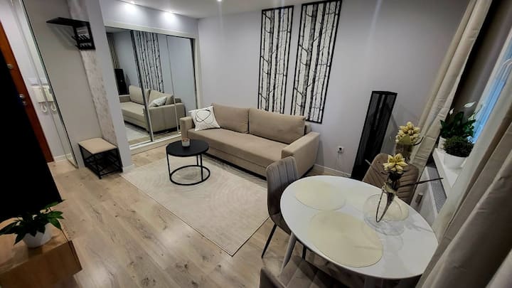 Beautiful Flat, Smartly Designed And Elegant. - Katowice