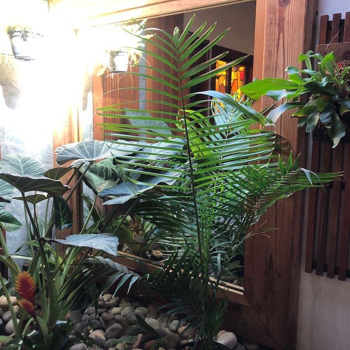 Linga Longa: Private Indoor Garden Retreat - San Rafael, CA