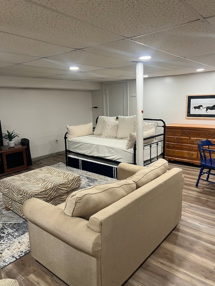 Big Basement Apartment - 布尤納維斯塔
